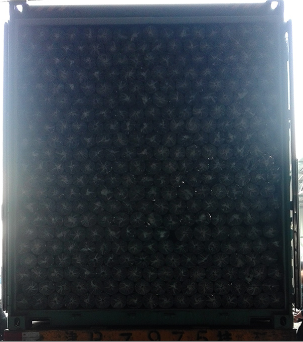 Farm Green Color PVC Coated 50x50mm mesh opening Euro Holland Welded Wire Mesh fence for Chile