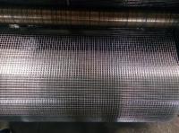 China Electro Galvanized 8 gauge galvanized 2 x 2 welded wire mesh For Construction for sale