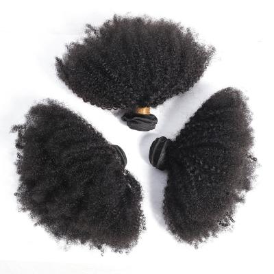 China Cabelo humano brasileiro do Virgin de 100% para mulheres negras/pacotes encaracolados perversos do Afro à venda