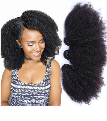 China 1B cabelo encaracolado perverso do Virgin do brasileiro do Afro 100% Bouncy e macio com elasticidade à venda