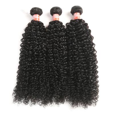 Cina Capelli vergini brasiliani 100% pieni e molli/pacchi in profondità ricci con il frontale del pizzo in vendita
