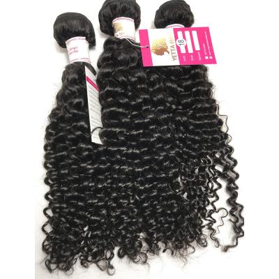 Cina Tessuto non trattato naturale dei capelli ricci dei capelli vergini del brasiliano di Gloosy 100% in vendita