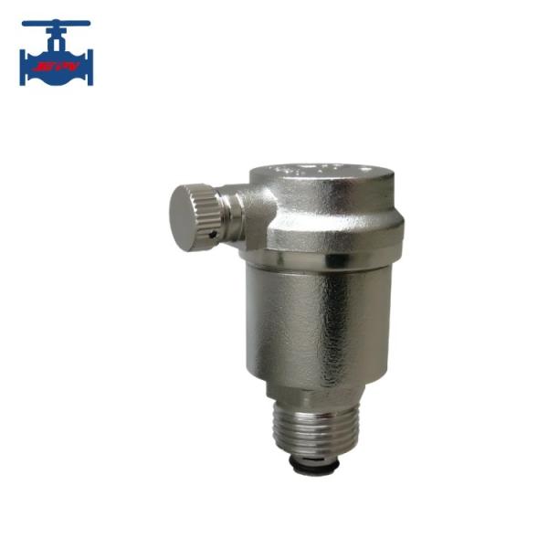 Quality NPT BSP Female Threaded Stainless Steel Auto Exhaust Valve / Micro Air Exhaust Valve for sale