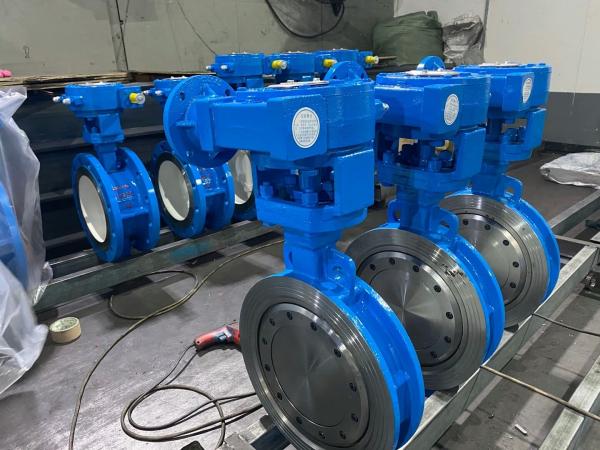 Quality Triple Offset Wafer Type Butterfly Valve , Triple Eccentric Butterfly Valve ANSI for sale