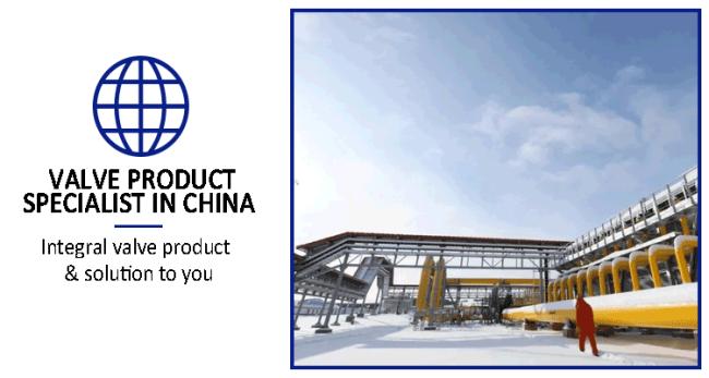 Industrial ball valve installation example