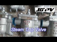 NPT BSP Female Threaded Free Float Steam Trap WCB CF8 CF8M Standard