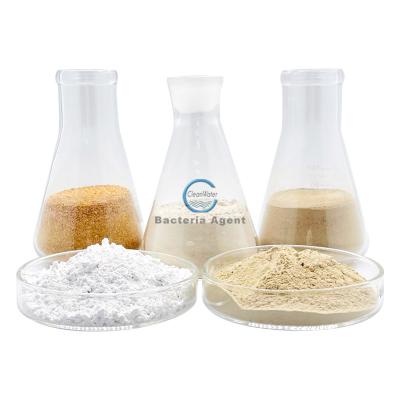 ETP Chemische productenmicroben voor de Bacteriënagent van het Behandelings van afvalwaterpoeder