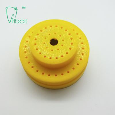 Cina 60 fori intorno al supporto dentario di Burs, non sterilizzano nell'autoclave Endo File Holder in vendita