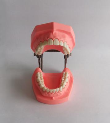 Cina I denti dentari di plastica di spazzolatura variopinti modellano Removable in vendita