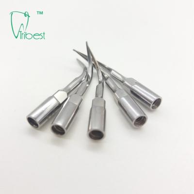 Cina Acciaio inossidabile di igiene dentale ultrasonica di punte del picchio P1 in vendita