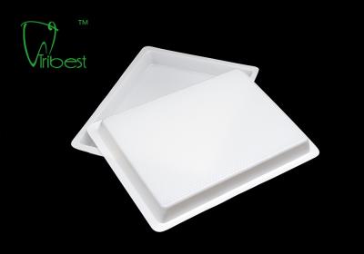 Cina Piccoli vassoi dentari di plastica dello strumento di 19x14.8cm pp in vendita