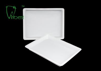 Cina Piccoli vassoi dentari di plastica dello strumento di 19x14.8cm pp in vendita