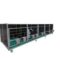 China Five-Stall Linked Calf Pen for sale