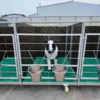 China Five-Stall Linked Calf Pen for sale
