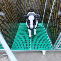China Five-Stall Linked Calf Pen for sale