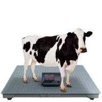 China Livestock Floor Scale for sale