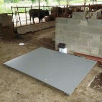China Livestock Floor Scale for sale