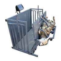 China Sheep Turnover Crate for sale