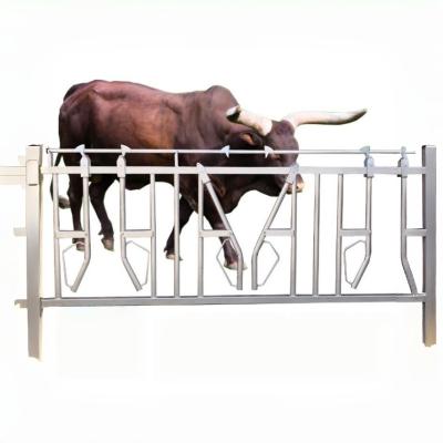 China Cow Headlock-Double Opening(For Long Horn Cattle) for sale