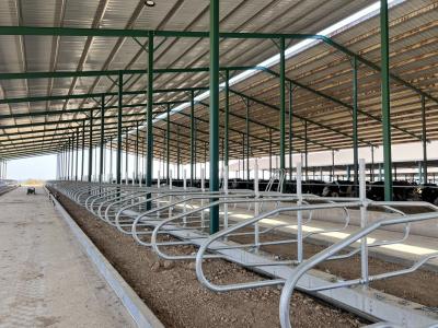 China Cow Free Stall for sale