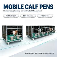 China Five-Stall Linked Calf Pen for sale