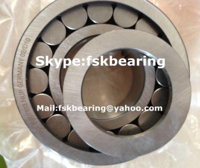 China Full Complement SL192310 INA Cylindrical Roller Bearing Single Row Chrome Steel for sale
