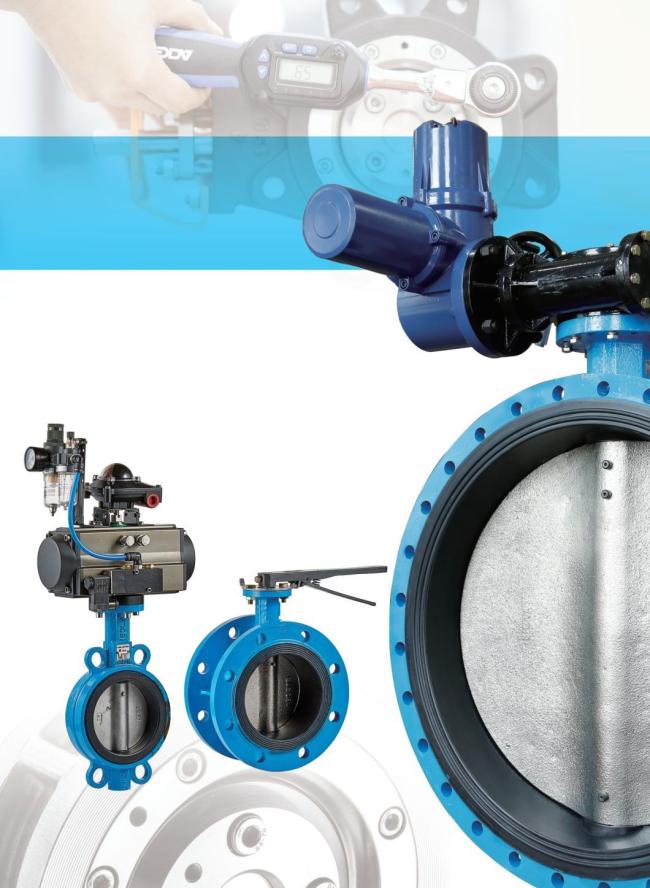 Butterfly Valve with Pneumatic Actuator (D671-10/16)