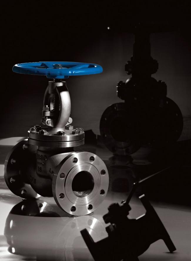 Xtv Wholesale Price Factory Direct Sale Standard Stainless Steel Globe Valve
