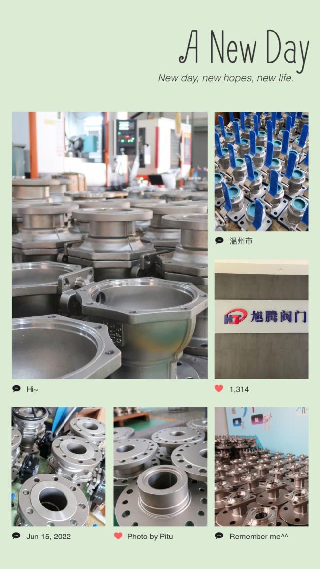 ANSI CE BS Standard Wcb Material Globe Valve