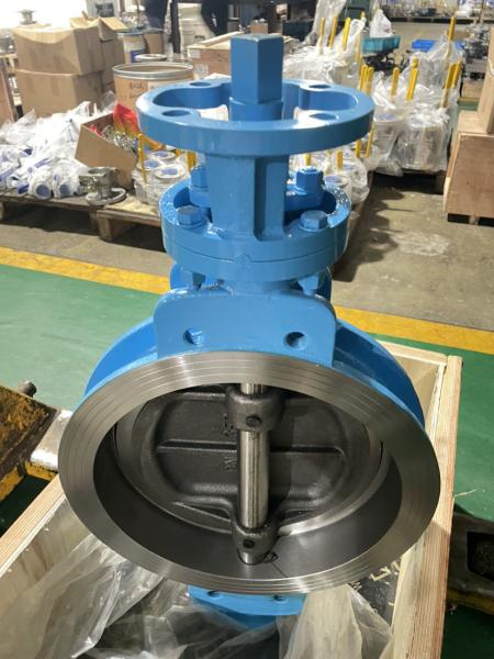 Quality Double-Eccentric Sealing ANSI Flanged Butterfly Valve for Industrial Application for sale