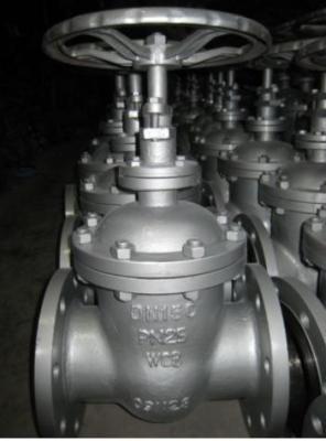 Cina Valvola a doppio cancello ANSI di acciaio al carbonio per applicazioni in acciaio fuso in vendita