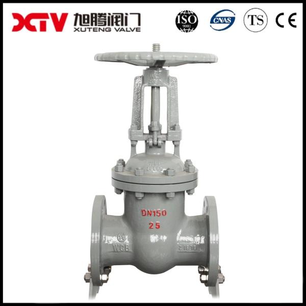 Quality ANSI 300lb DN15-DN600 Stainless Steel Flange Ends Globe Valves for Customized for sale
