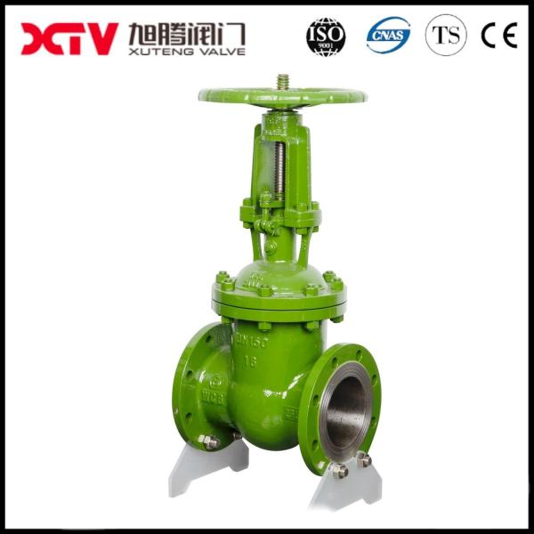 Quality ANSI 300lb DN15-DN600 Stainless Steel Flange Ends Globe Valves for Customized for sale