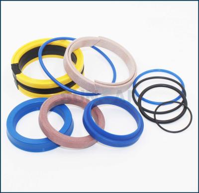 Cina 991/00123 99100123 Seal Kit RAM STEERING Fits JCB 712-47 3C-2WD in vendita