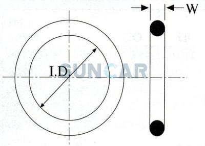 Cina CS3 O Ring Seal Kit in vendita