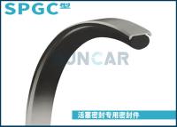 China SPGC Cylinder Piston Seals for sale
