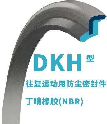 中国 DKHワイパー シール 販売のため
