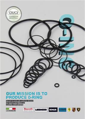 China CS 4 Series O Ring Seal Kit for sale
