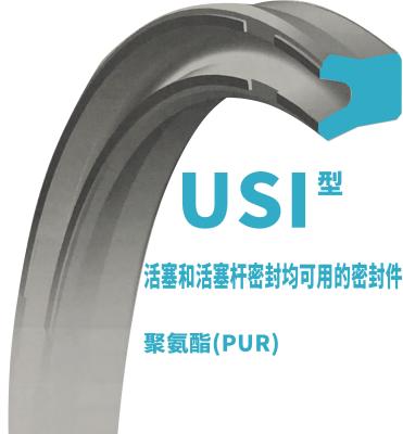 China USI Piston And Piston Rod Seal for sale