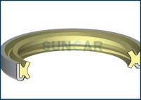 China DKC Dust Seal For C-A-T for sale