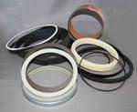 Cina Corredi della guarnizione del cilindro del secchio LZ008210 per la CASSA CX160B CX160C dell'escavatore in vendita