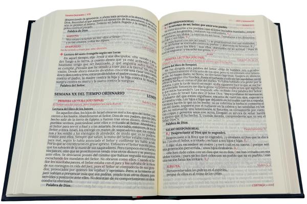 Quality custom hardcover bible printing with gold foil for sale