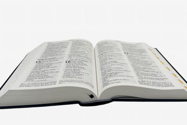 Quality custom hardcover bible printing with thumb index for sale