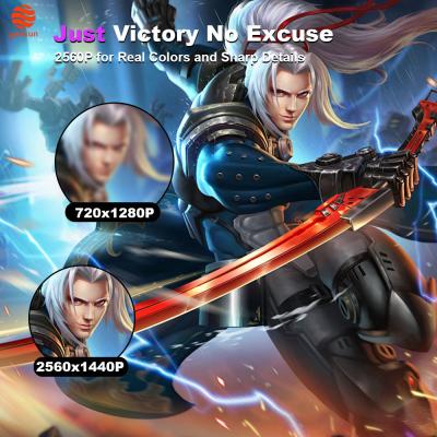 China 27-Inch Gaming Monitor: UHD Resolution, 2560x1440 2K IPS Panel, 360Hz High Refresh Rate (No Motion Blur for Fast Games) & Stable Fixed Bracket – Great for Competitive Gaming, Streaming & Daily Visual for sale