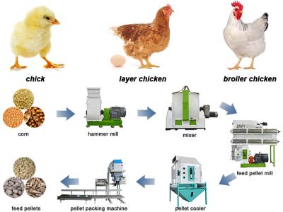 China de Productielijn van de het Voerkorrel van 380V 50Hz 2mm tot 10mm Dierenvoerpelletiseermachine Te koop