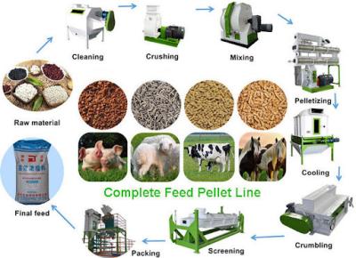 China de Productielijn van de het Voerkorrel van 380V 50Hz 2mm tot 10mm Dierenvoerpelletiseermachine Te koop