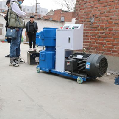 Cina Pollo che coltiva la piccola macchina 200-300kg/Hr della pallina dell'alimentazione in vendita