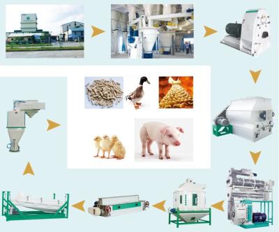 Cina linea di produzione dell'alimentazione di pollo 55kw macchina di fabbricazione dell'alimentazione animale in vendita