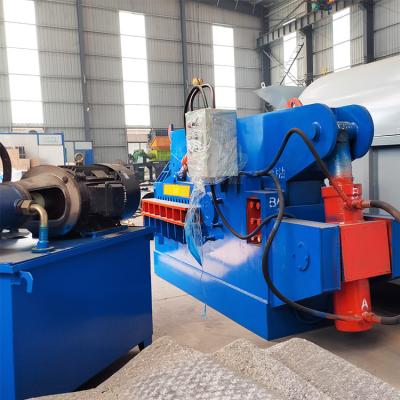 China Scrap Metal Shearing Machine Recycling Crocodile Cutting Machine for sale