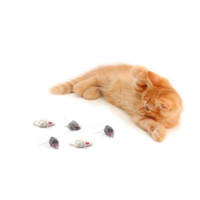 China Halloween Unique Gift Bicolourable Mini Mouse Cat Toy Set With Sound for sale